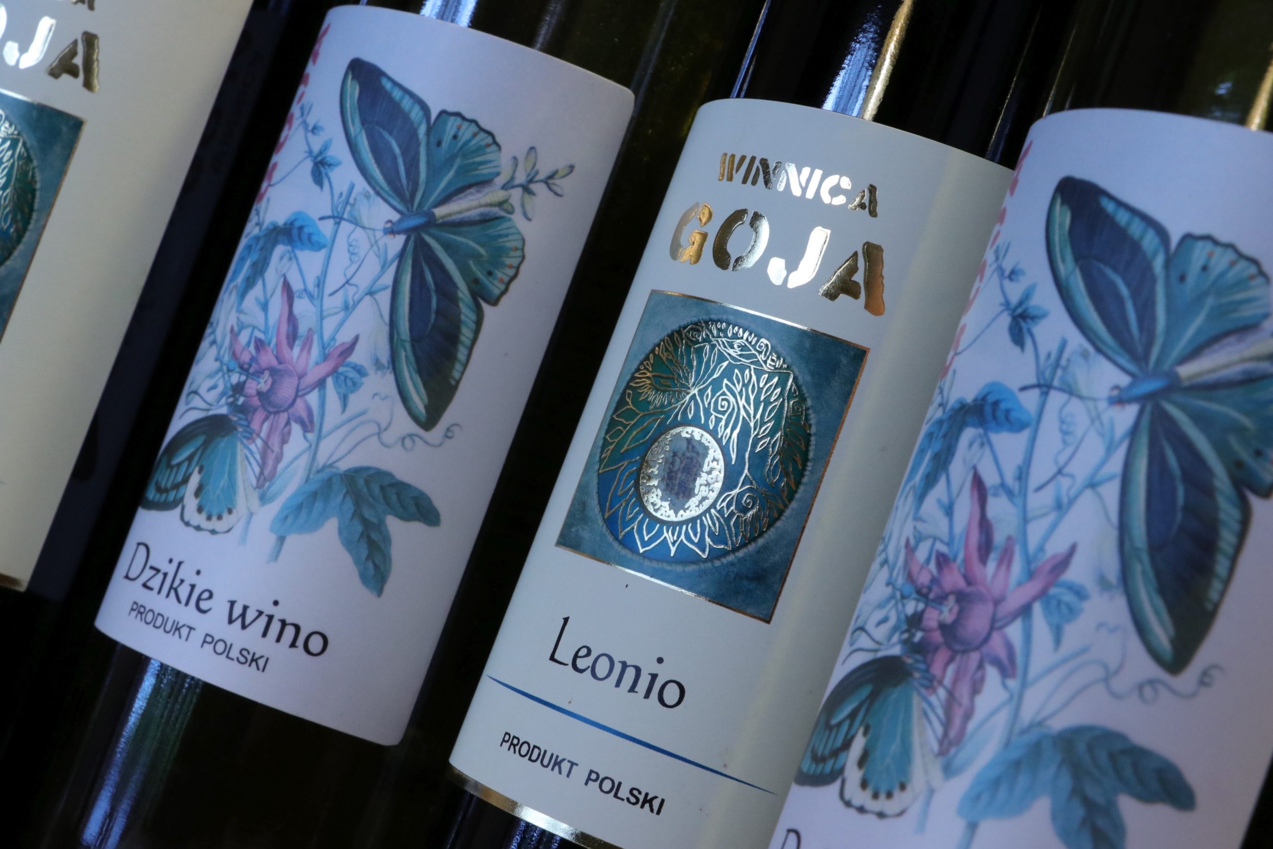 Leonio i Dzikie Wino z Winnicy Goja - Folwark Stara Winiarnia